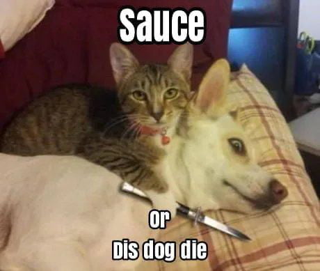Give me your best give sauce memes - 9GAG