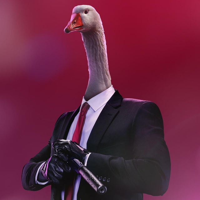 Agent Ducksworth-The Ducks Most Elite Agent - 9GAG