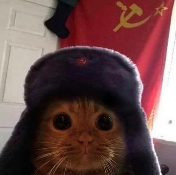 Communist Cat-Stalin's Loyal Pet, survivor of ww1 and ww2 - 9GAG