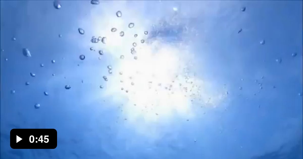 Exploring some carl reefs - 9GAG