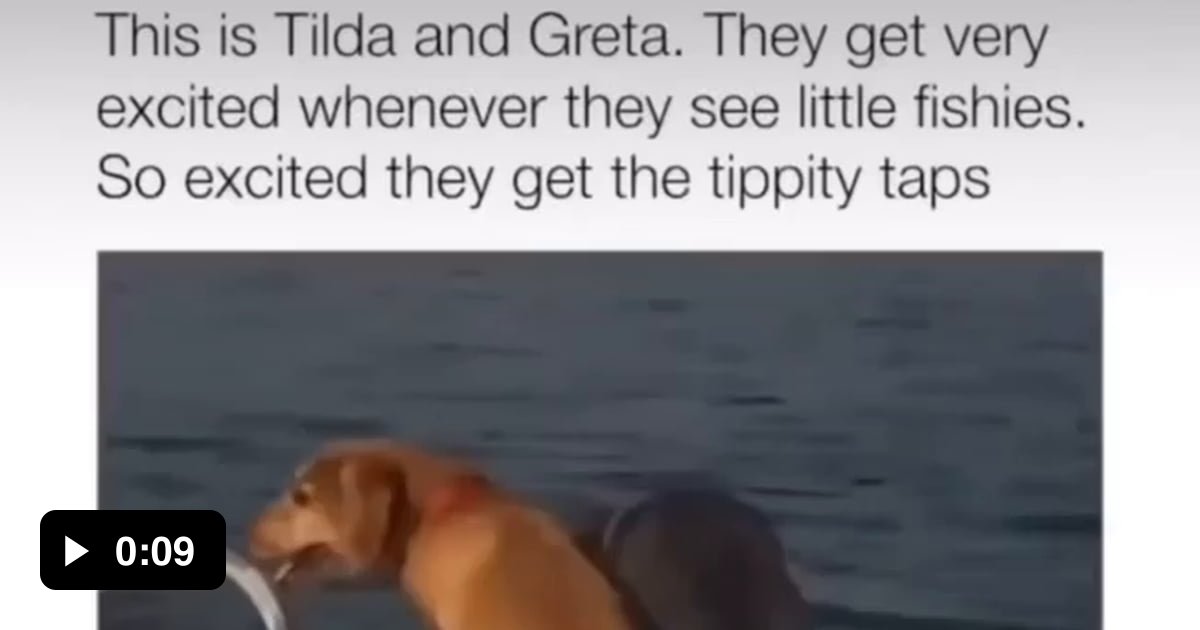 Contagious tippy taps - 9GAG