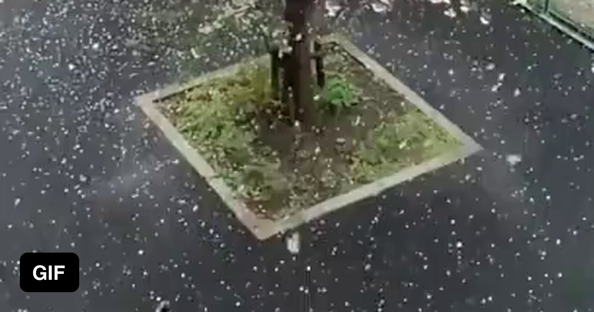 The perfect blossom is a rare thing. You could spend your life looking ...