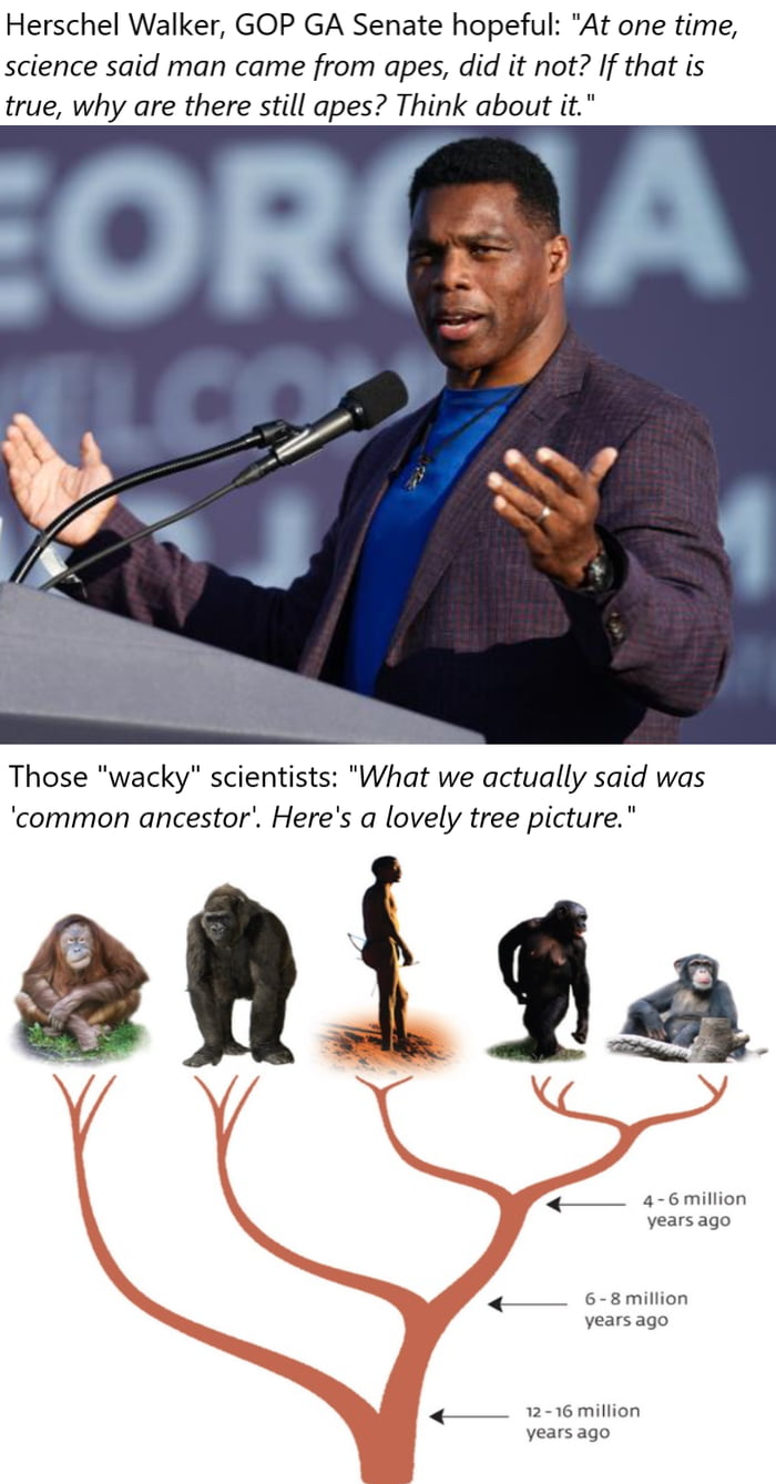 Sometimes evolution takes a day off - 9GAG