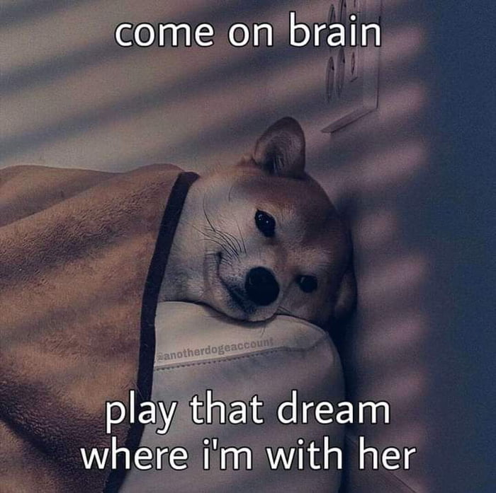 Sad noises intensifies - 9GAG