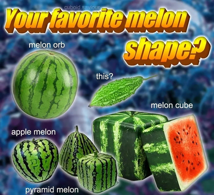 Melon - 9GAG