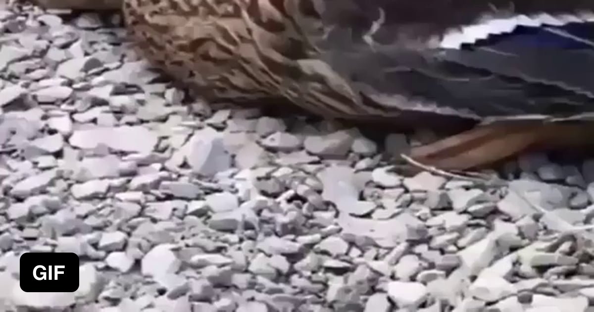 Stealth mode activated - 9GAG