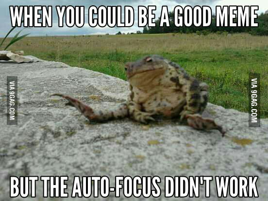 Pepe in real life - 9GAG