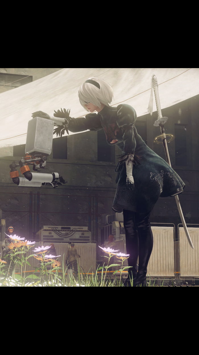 *tap *tap "who's a good pod??" -2B(Nier:Automata) - 9GAG