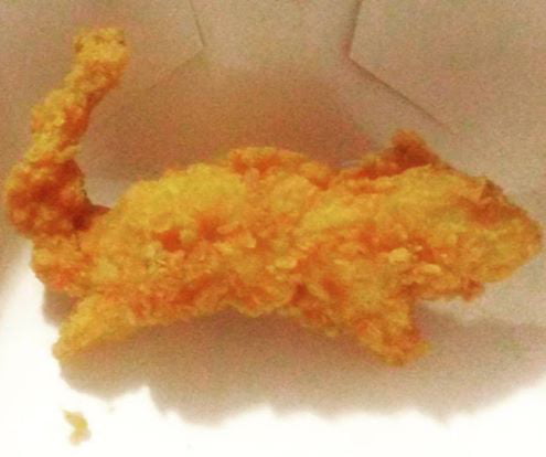 My chicken tender looks like a mouse fried in batter. - 9GAG