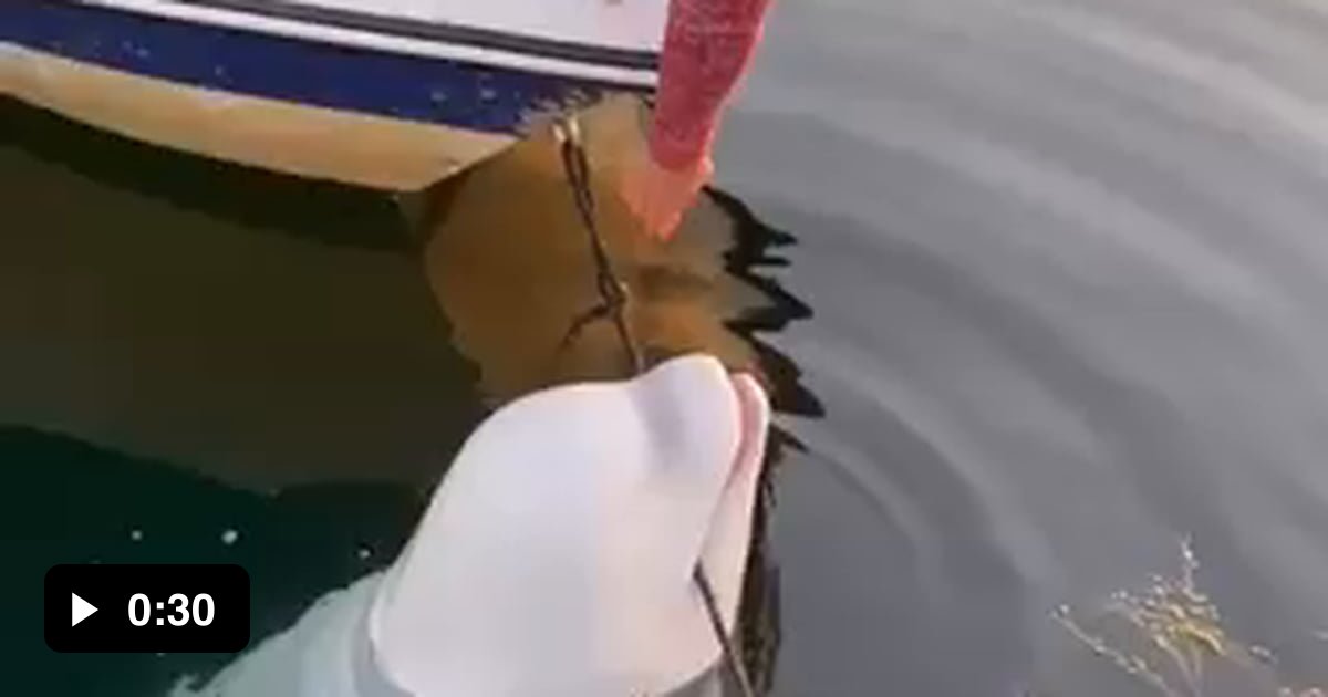 “Maaaaaaaa Fren” - 9GAG