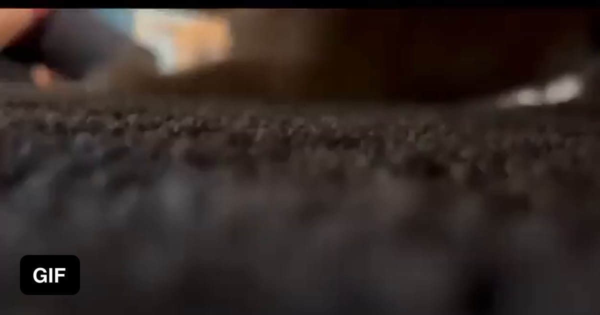 Diggity, dig, diggin - 9GAG