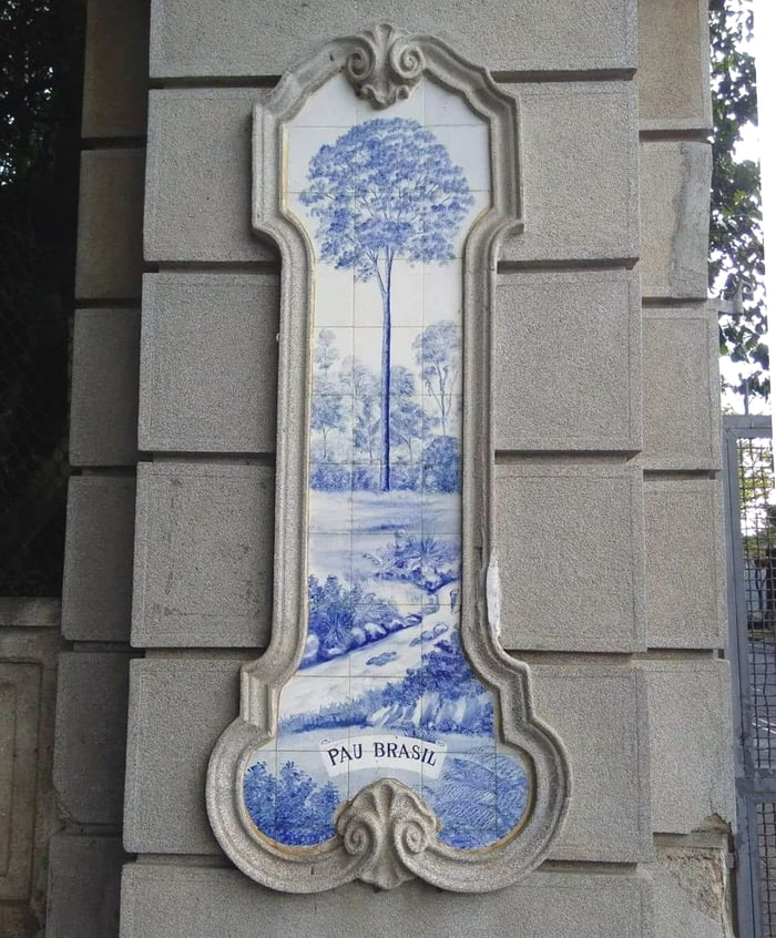 I saved this gem that I found at botanical garden to celebrate my 4000 ...