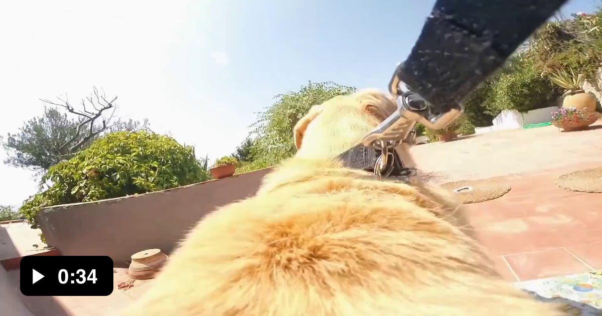 Give me your best music for speeding (volume warning) - 9GAG