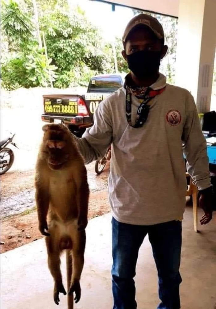 Udin ketangkep 🤣 - 9GAG