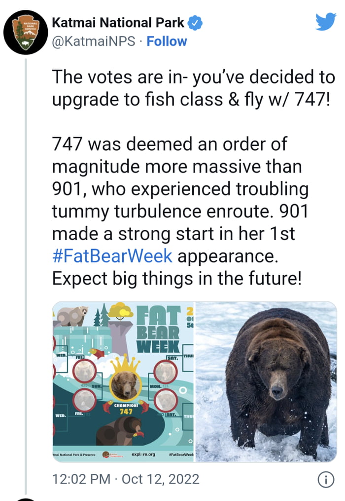Congratulations to 747 for winning Fat Bear Week, 2022 Champion of ...