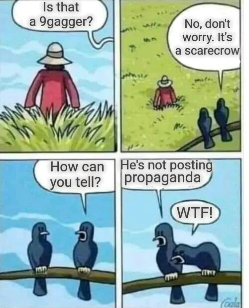 Call me crazy but 9gag is for memes, right? - 9GAG