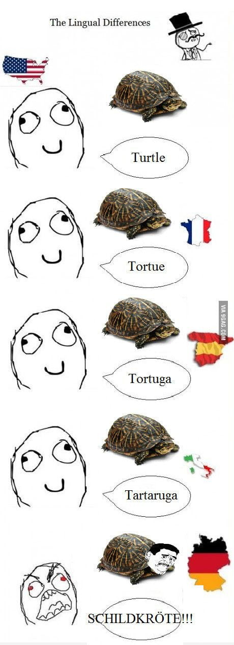 Differences - 9GAG