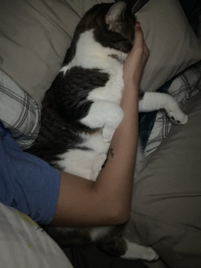 Her fav sleeping position 🥰 - 9GAG