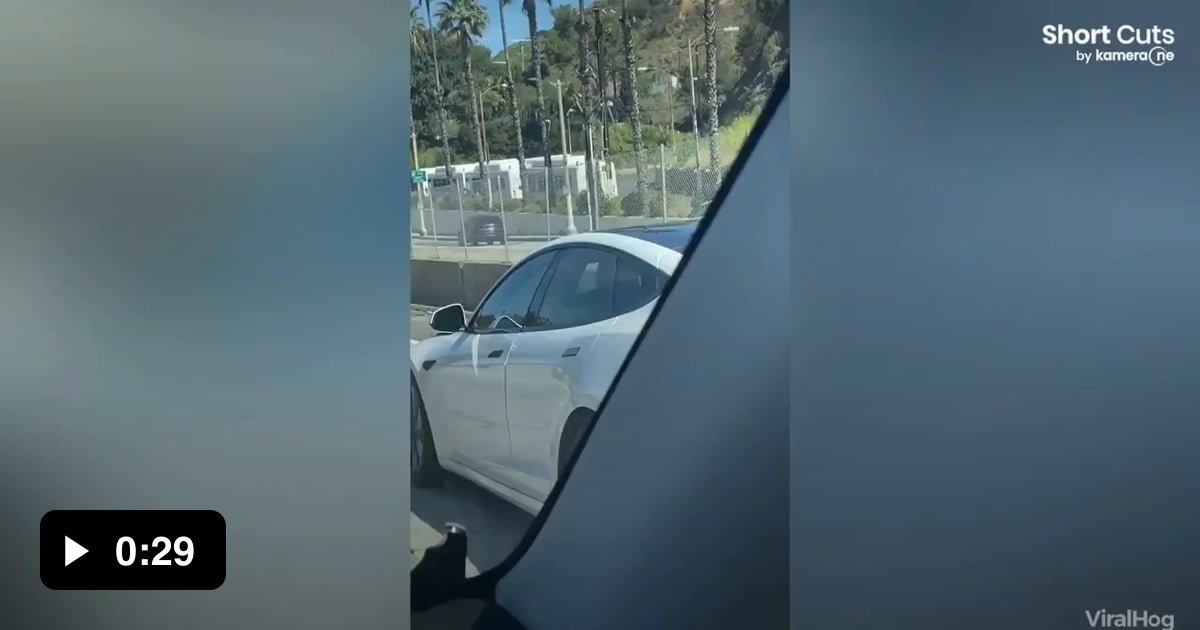 Tesla driver captured sleeping at the wheel on the freeway - 9GAG