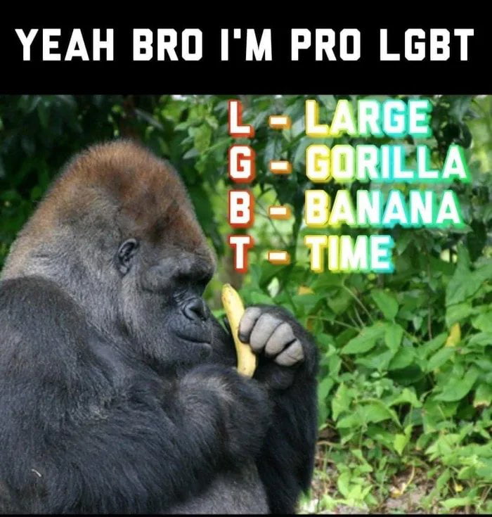 Yeah bro - 9GAG