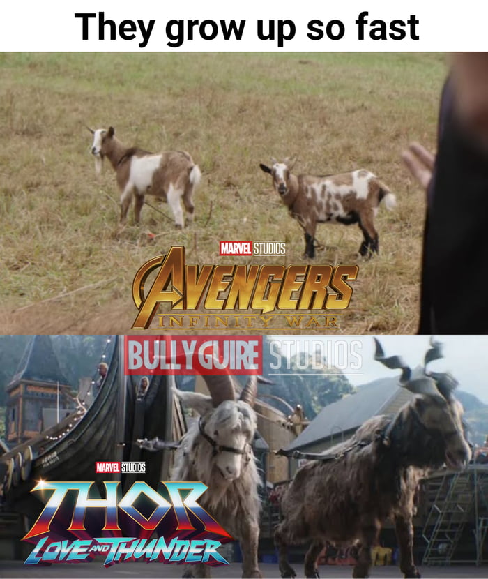 They grow up so fast. - 9GAG