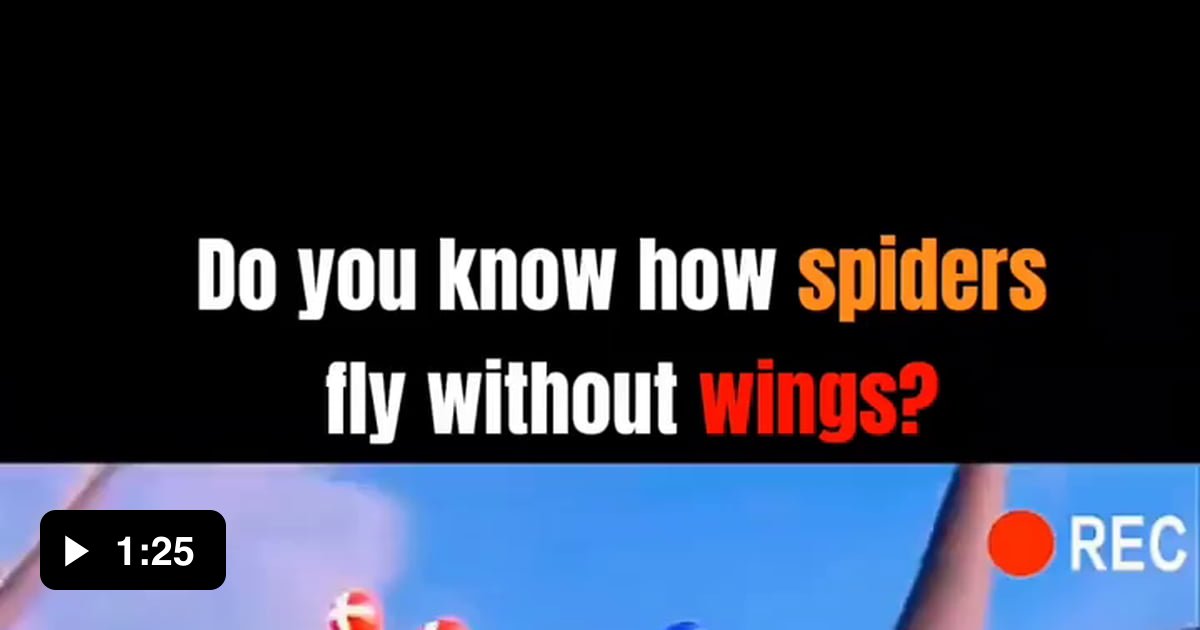 Do you know that spiders fly without wings?? - 9GAG