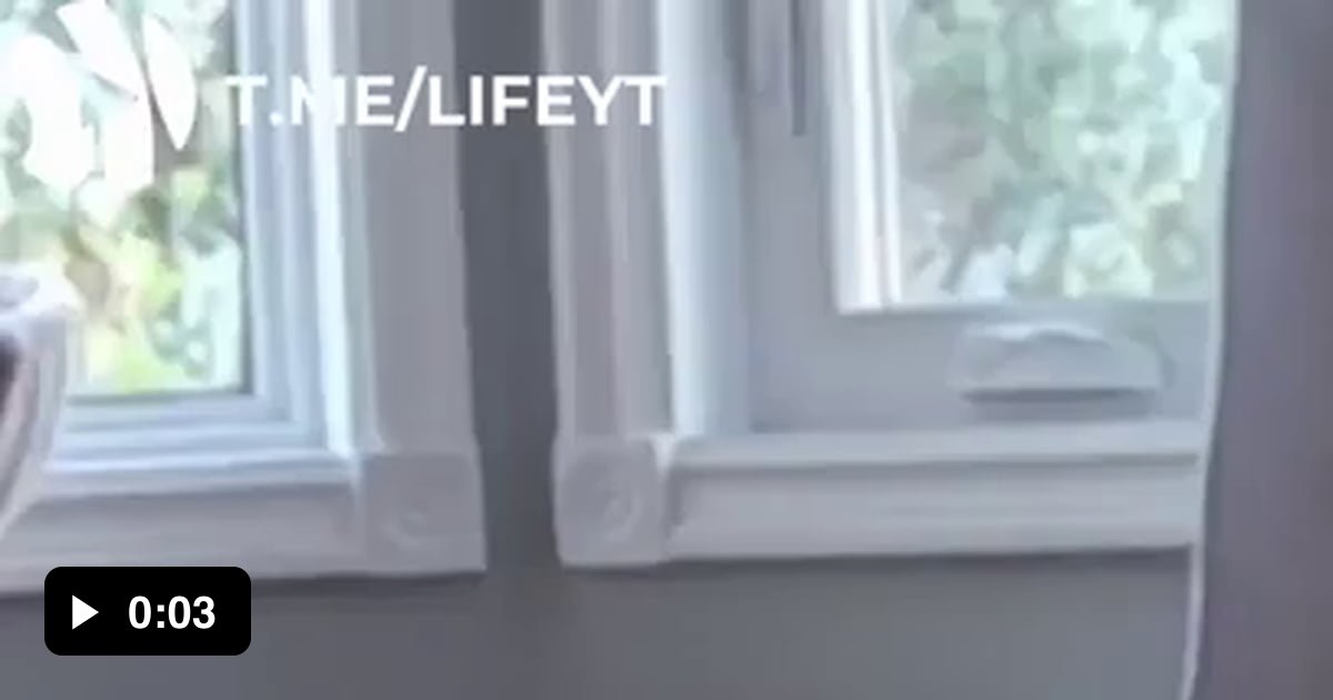 It was so unexpected for him😂😅 - 9GAG