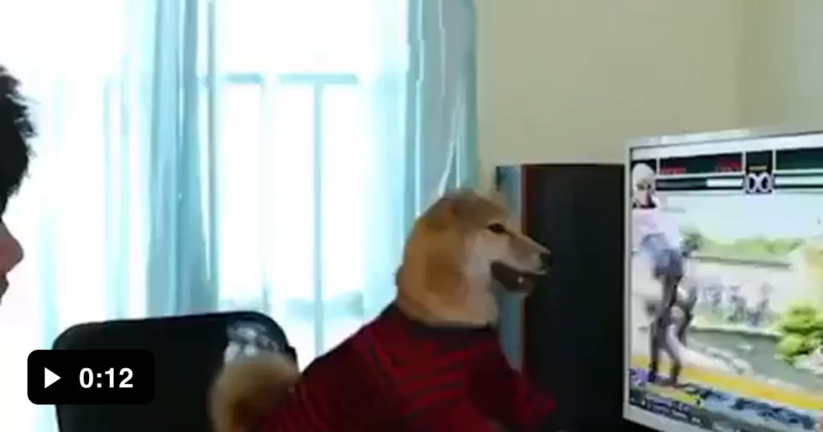 Turn on that f...ing pc - 9GAG