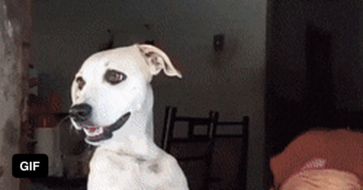 Dafuq they doing over dere? - 9GAG