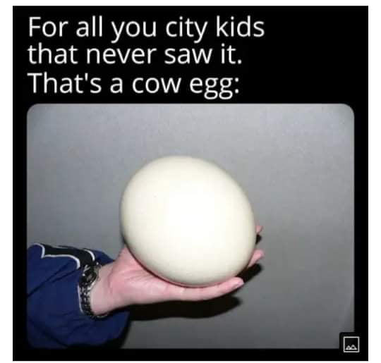 Egg - 9GAG