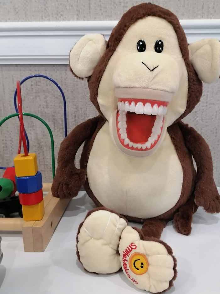 This stuffed animal monkey at the dentist office - 9GAG