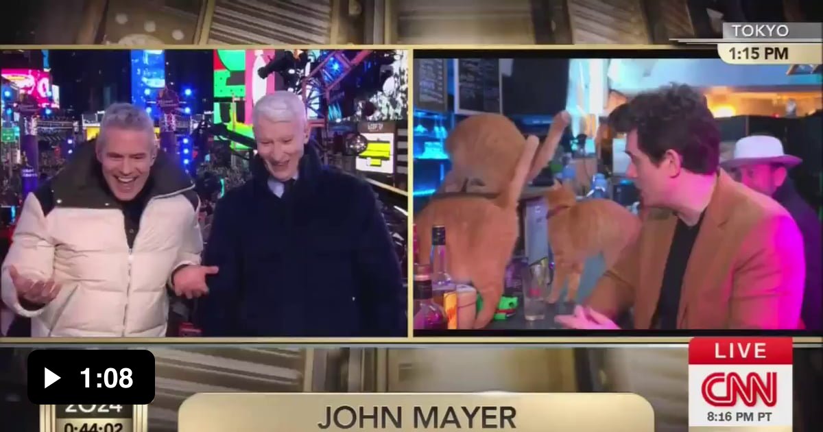 Anderson Cooper can't stop laughing at John Mayer in a cat bar - 9GAG
