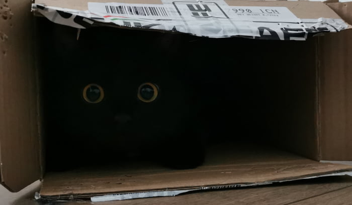 Void ate the title - 9GAG