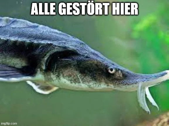 Wenn man nach Feierabend die Kommentare in der Sektion über Mitglieder ...