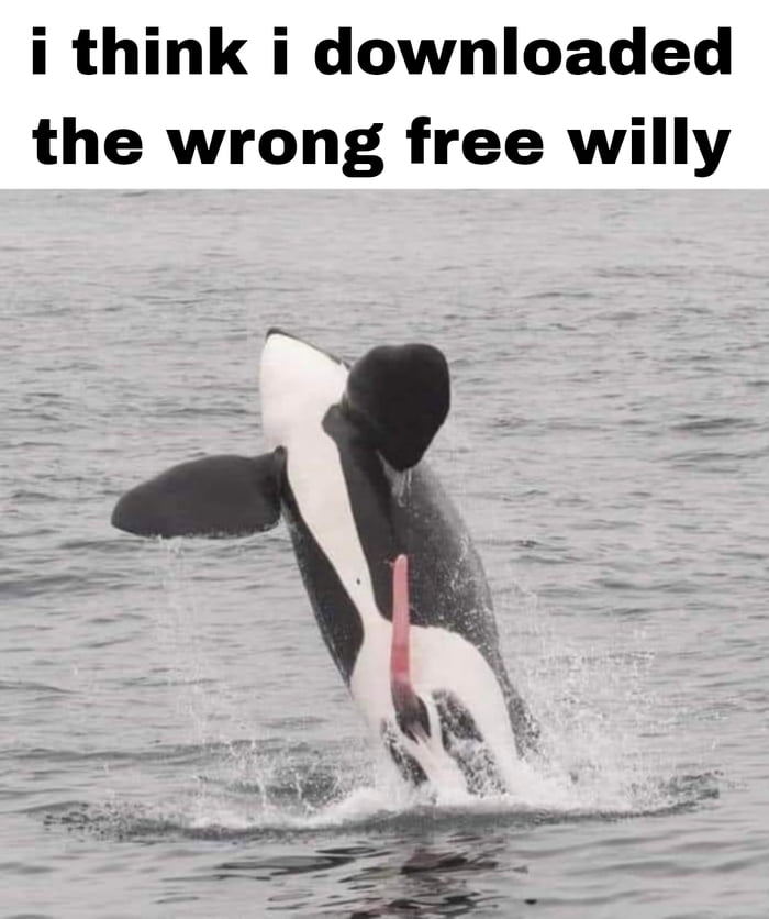 Wrong movie 😬 - 9GAG