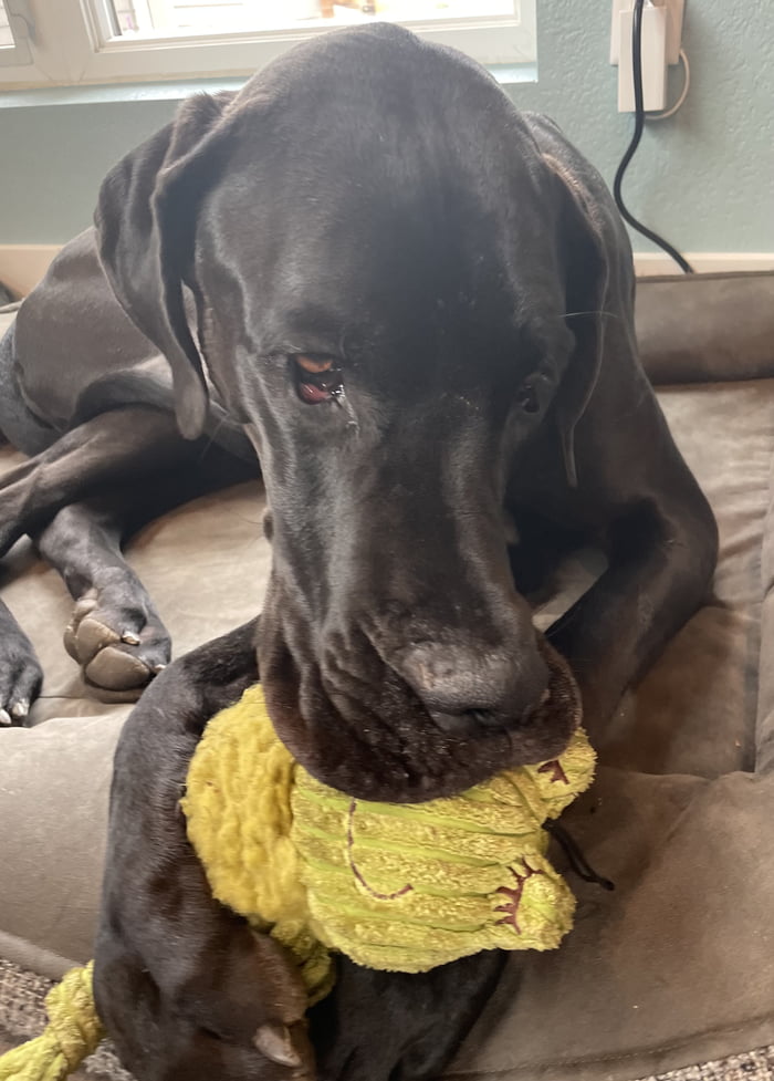 Happy Wednesday - 9GAG