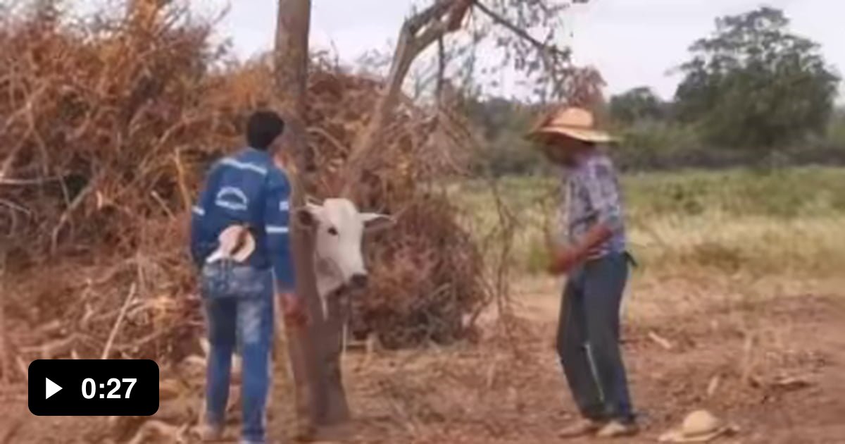 Let’s have some laughs! Re-post ! - 9GAG