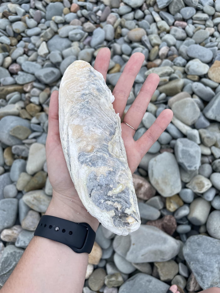 Unit of an oyster shell - 9GAG