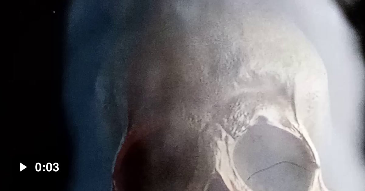 Stoned to the Bone - 9GAG