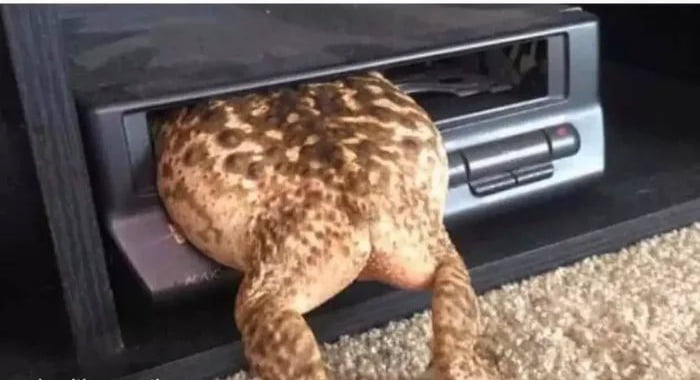 Help me step-frog I'm stuck. - 9GAG