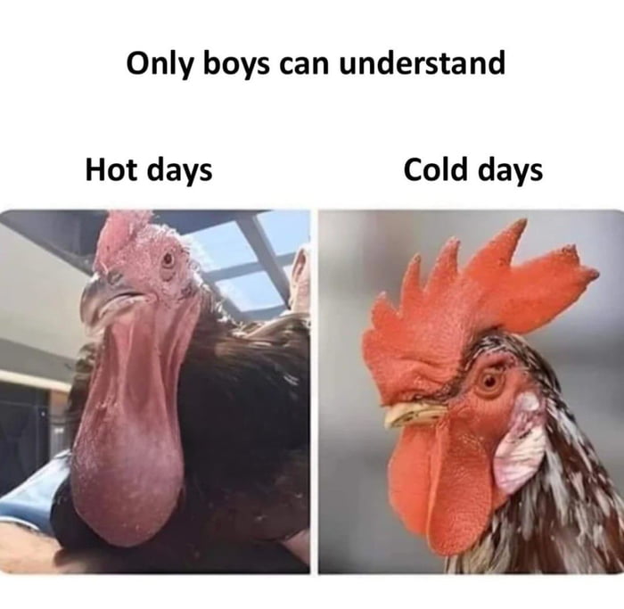 How many of you understood?? - 9GAG