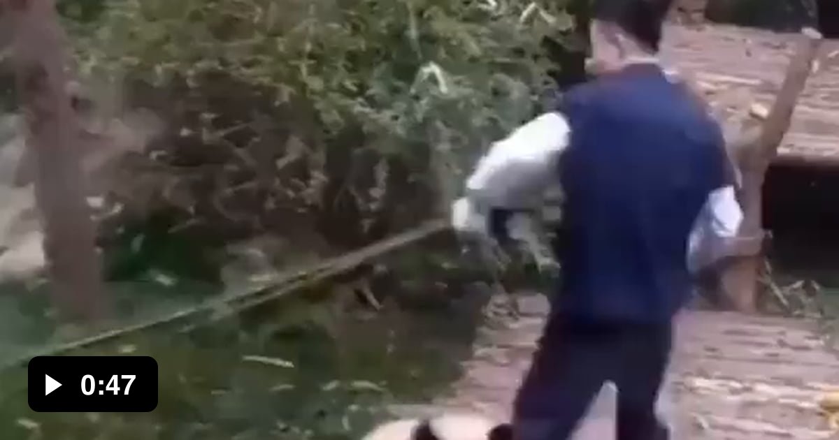 Yakety Sax 9gag