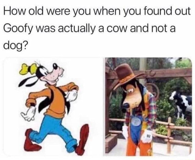I know that Klarabella is a cow. Never considered Goofy as a dog. - 9GAG