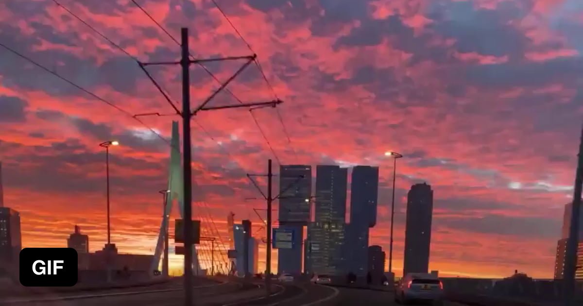 A pretty sunrise. Erasmus-bridge in Rotterdam, the Netherlands - 9GAG