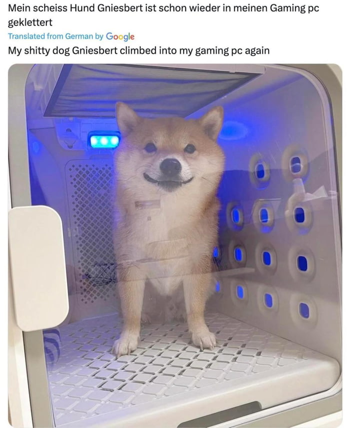 Gniesbert, the Computer Intruder - 9GAG