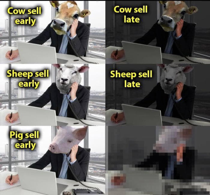 Hahaha oink oink! - 9GAG