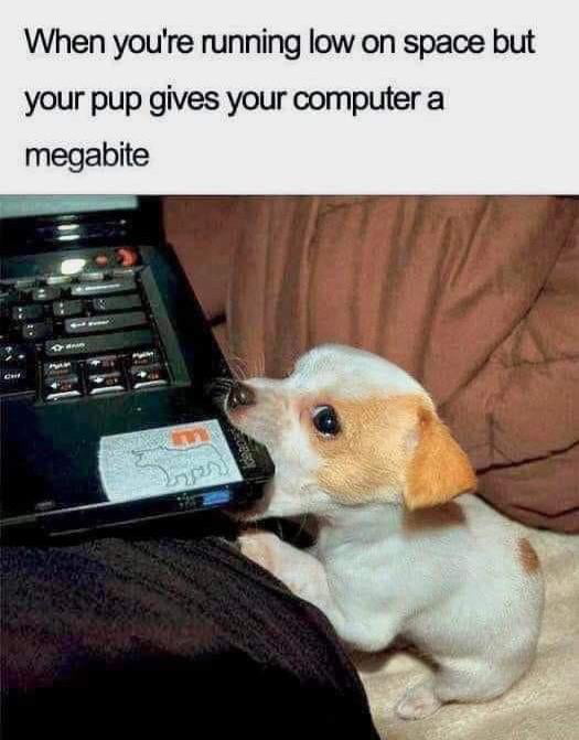The Mega Bite - 9GAG