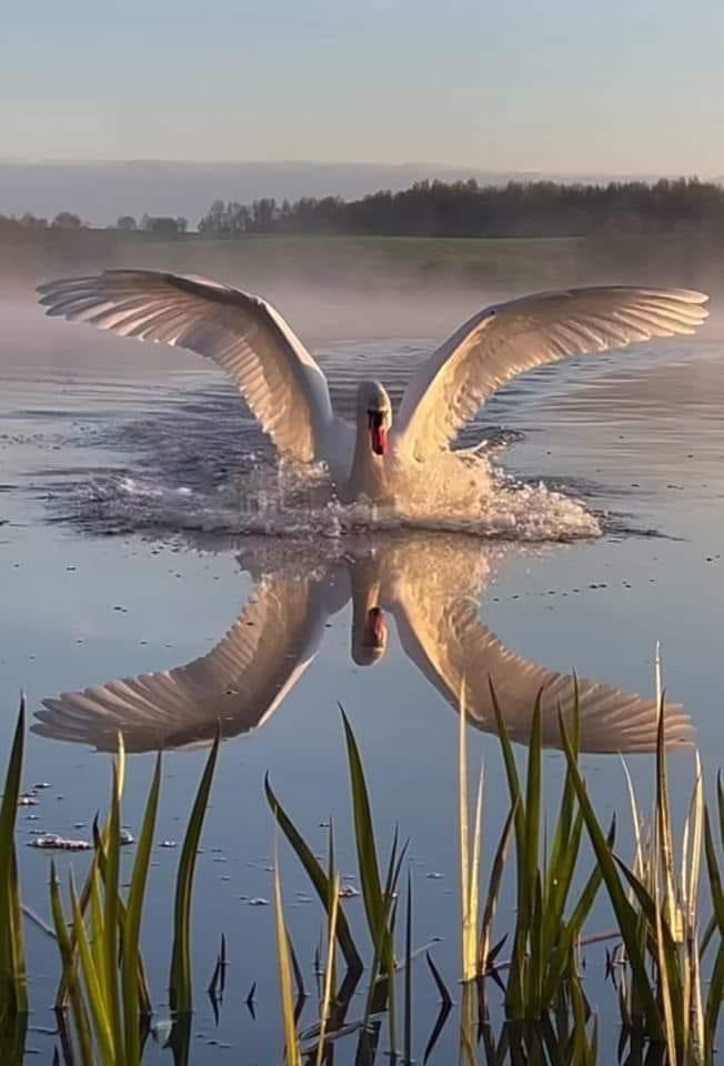 Beautiful reflection - 9GAG