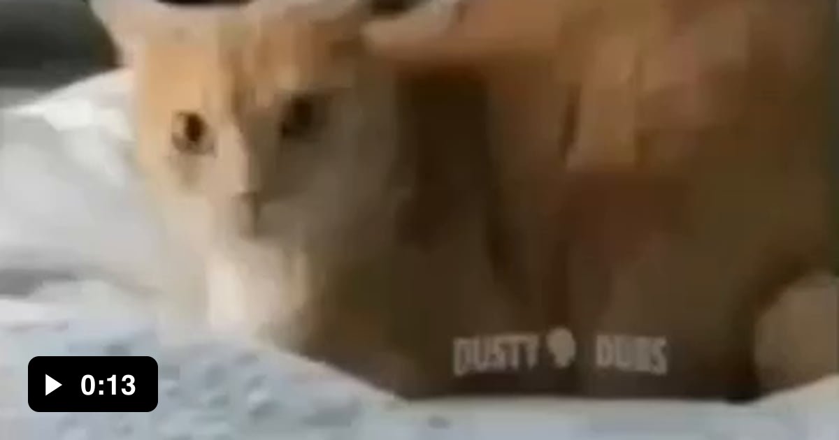 Darlene surely is a nice pus** - 9GAG