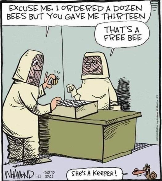 Free bee - 9GAG
